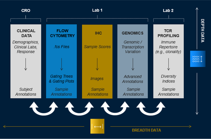 From IHC to Immune Profiling: Managing Data Breadth and Depth to Inform ...