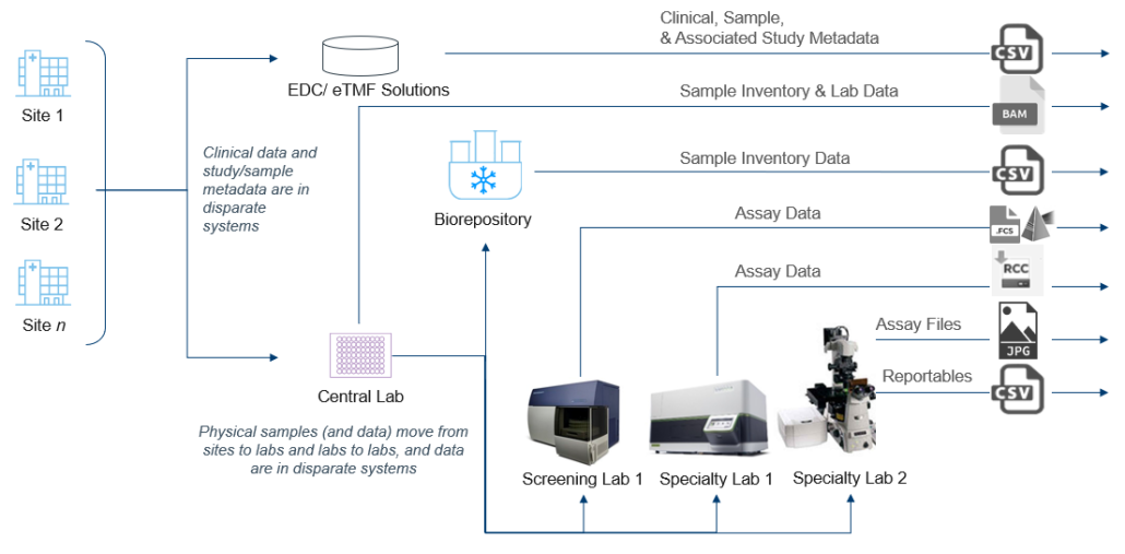 From Translational Teams to Biomarker Operations: The Cross-Functional Impact of a Fragmented ...
